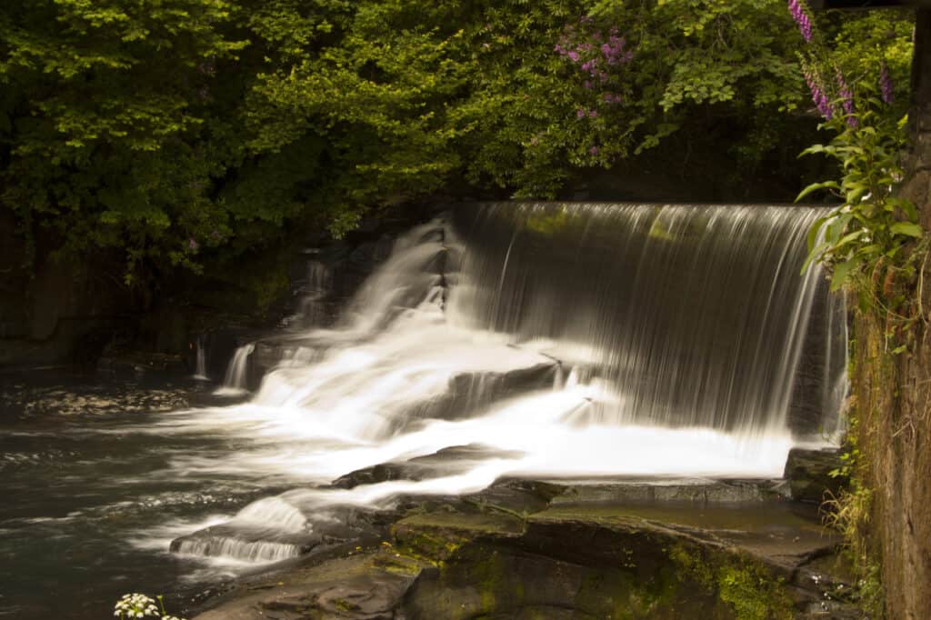 St Giles Cymru announce partnership with National Trust Cymru on newly ...